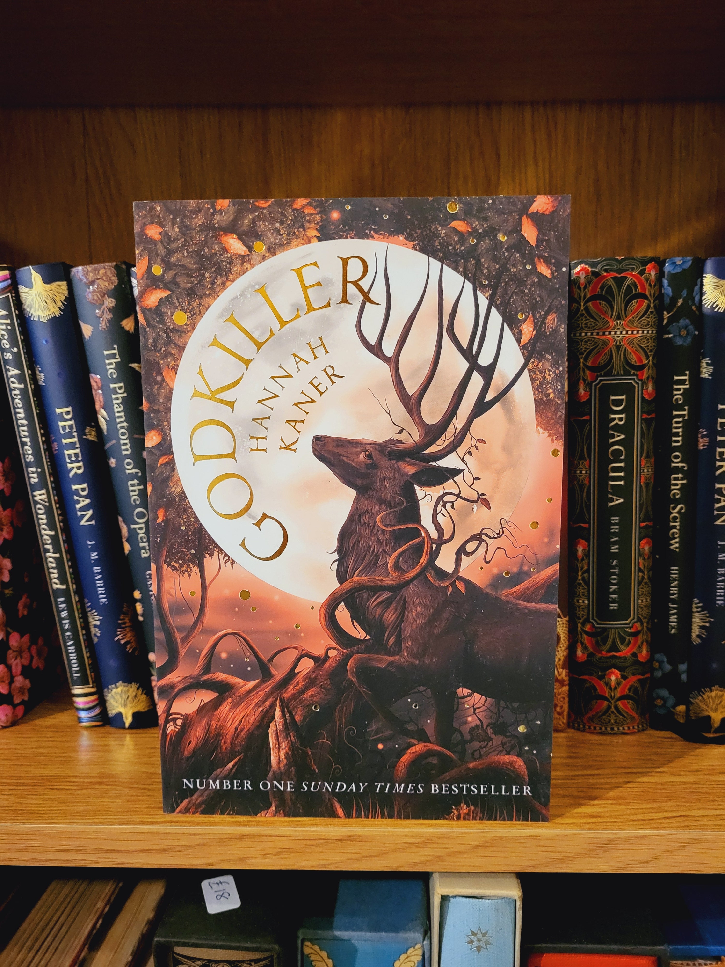 Godkiller - Hannah Kaner – Foster's Little Book Shop